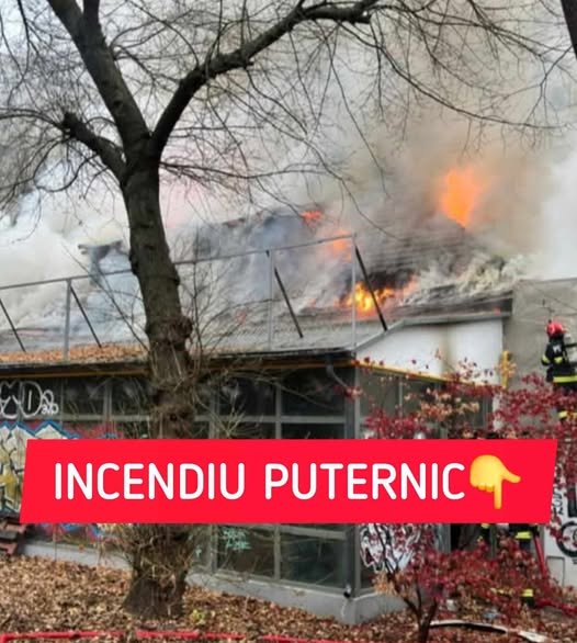 Incendiu puternic la un cunoscut restaurant din București. Șapte autospeciale de stingere ...